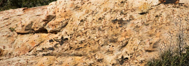 River Mountains Loop Trail - Recreation, fresh air, exercise, great ...